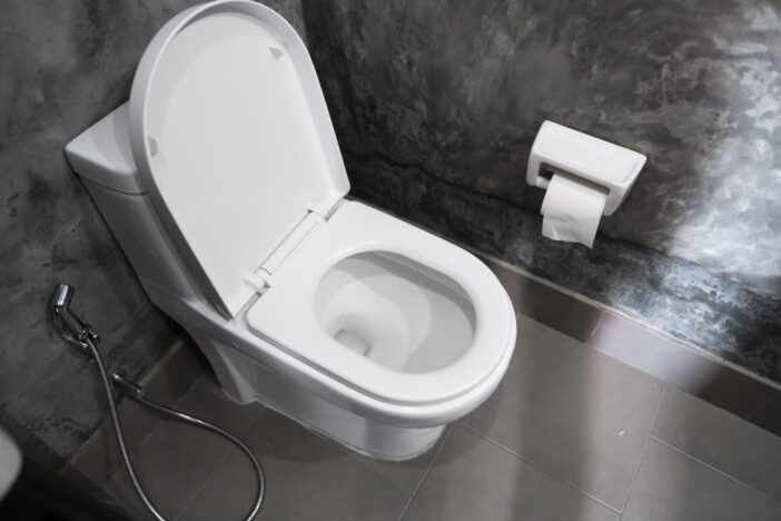 5 Top Ultra High Efficiency Toilets for Eco-Savvy Homes - Journeyman HQ