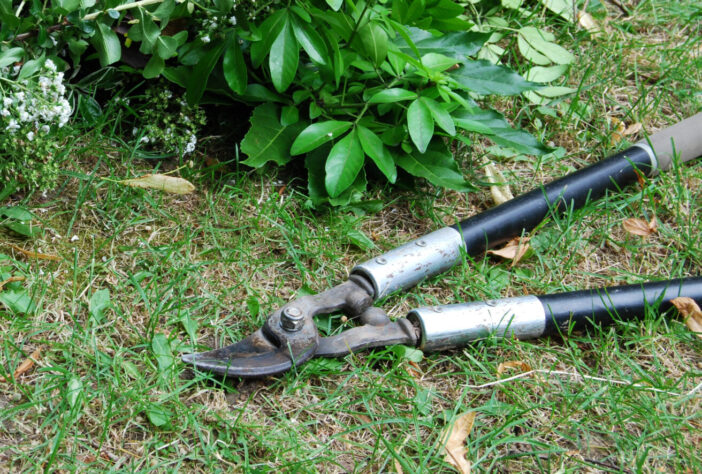5 Essential Brush Clearing Hand Tools Explained - Journeyman HQ