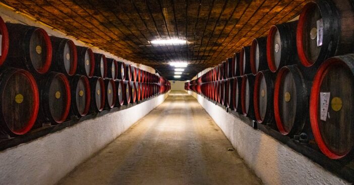 7 Best Wine Cellar Color Schemes for Elegant Storage That Transform Any ...